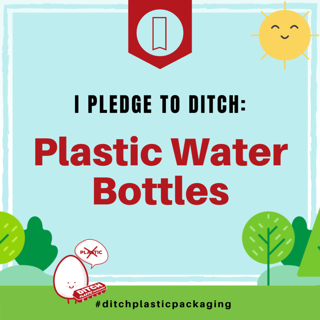 Pledge to Ditch Plastic Packaging - Moulded Fibre Packaging